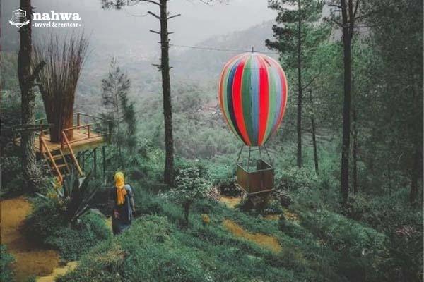 Pesona Goa Pinus Pujon Batu | Batu | Nahwa Travel