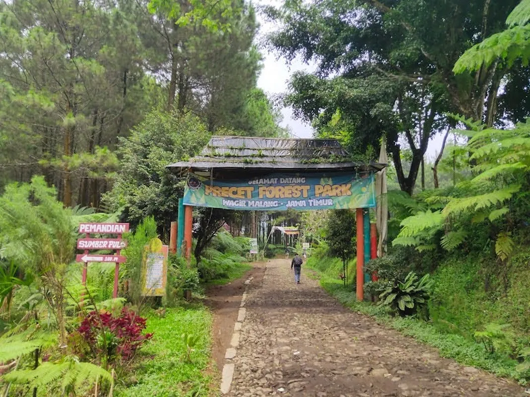 Daya Tarik Precet Forest Park, Harga Tiket & Fasilitas