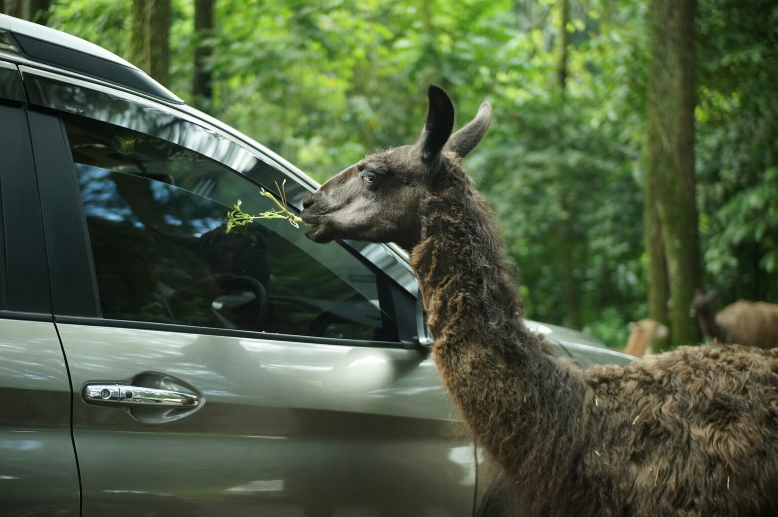 9 Wisata Keluarga di Jawa Timur yang Gak Bikin Anak Rewel dan Orang Tua ...